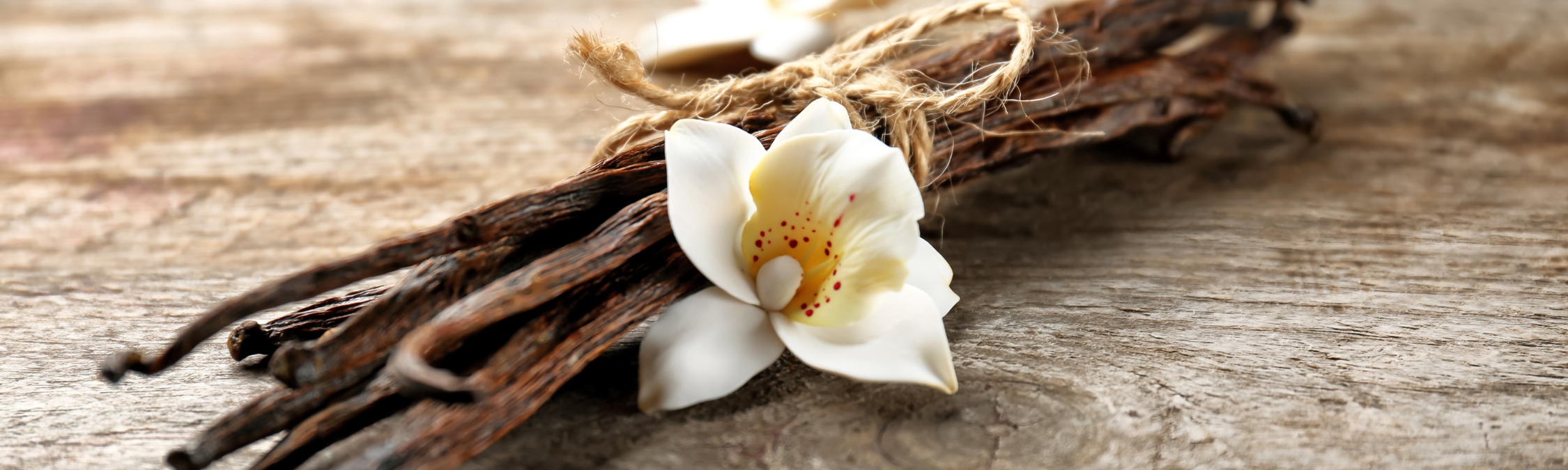 Vanilla Essential Oil: The Sweet Scent of Relaxation & Comfort – Seeds ...